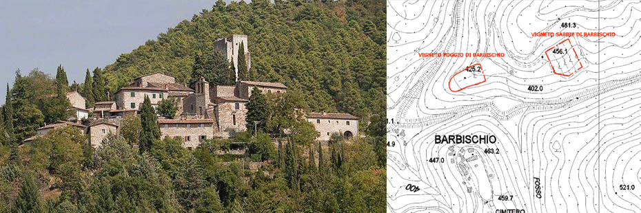 Chianti Classico Riserva Vigna Barbischio Maurizio Alongi 2022 | Buy Online